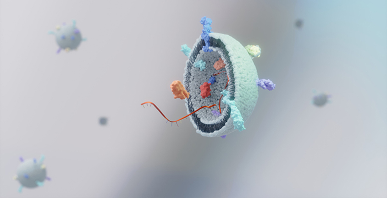 Biomarcadores tumorales: la identificación de exosomas en el ...